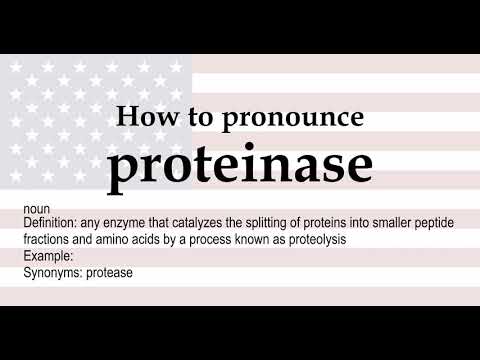 How to pronounce 'proteinase' + meaning