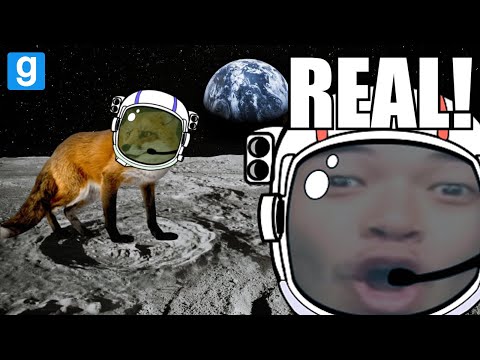 Steam Community :: Video :: First ever fox went to space (Real ...