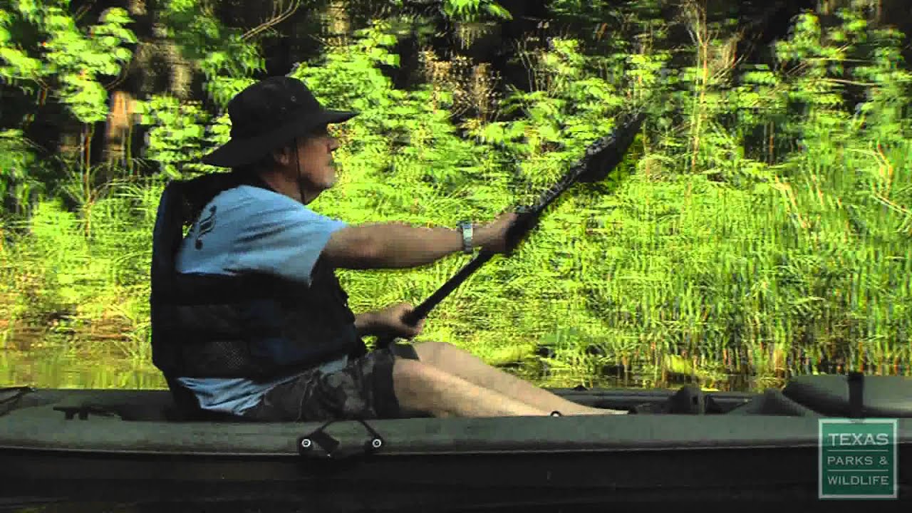 Caddo Lake Paddling Trails