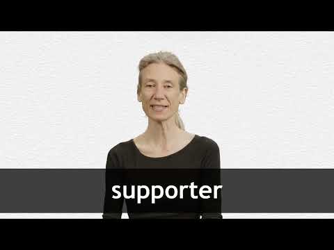 English Translation of “SUPPORTER” | Collins French-English Dictionary