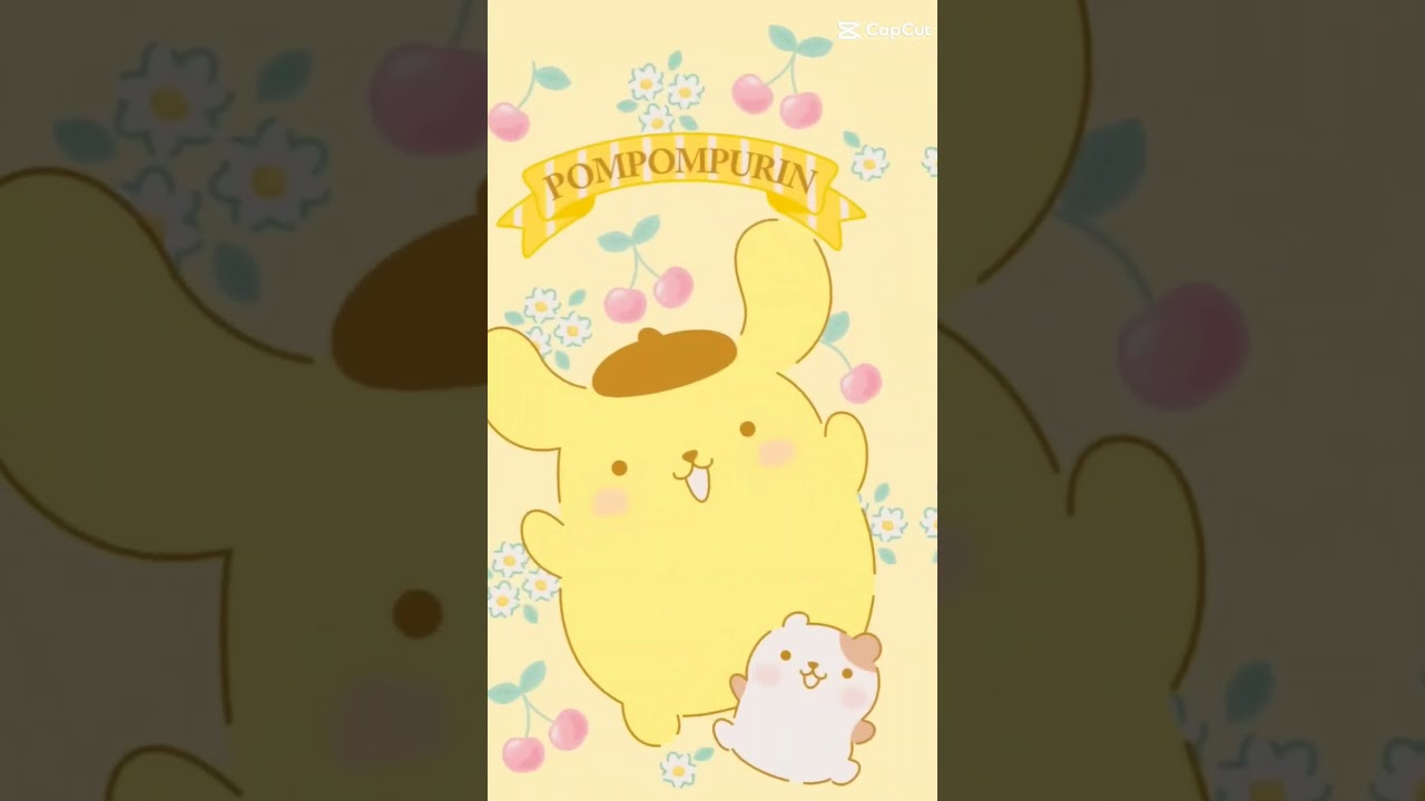 pompompurin #sanrio #pompompurin