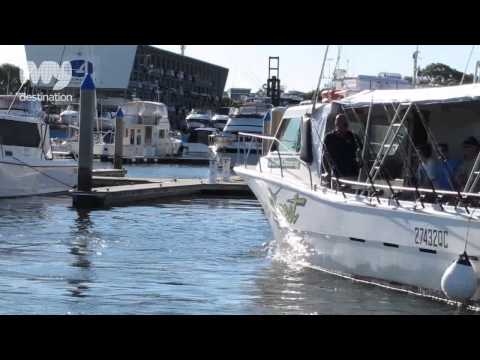 True Blue Fishing Charters - Gold Coast