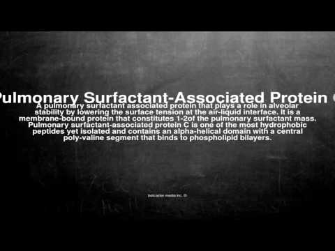 Medical vocabulary: What does Pulmonary Surfactant-Associated Protein C mean