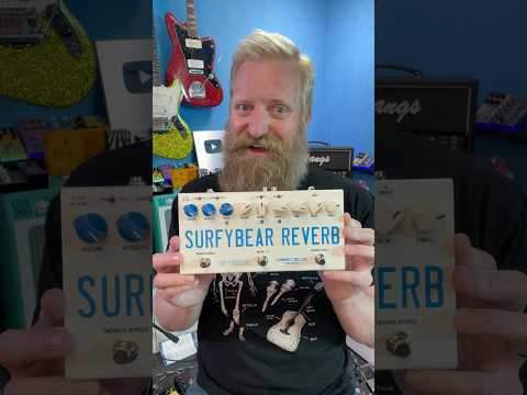 New surfy bear new surfy tricks! – 60 Cycle Hum