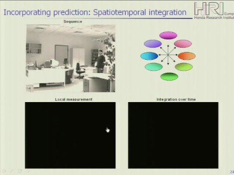 The Brain-like Vision