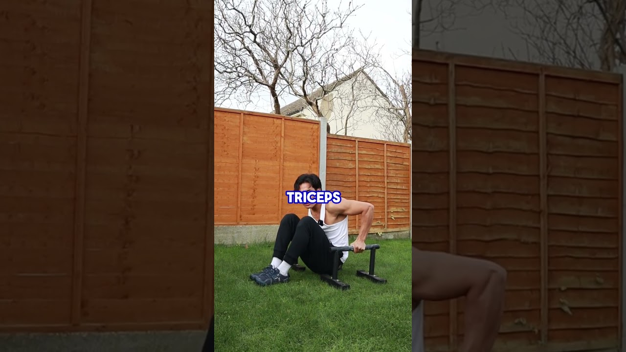 5 Beginners Calisthenics Workout On Parallettes