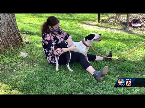Noon Pet Of The Week: Roxy