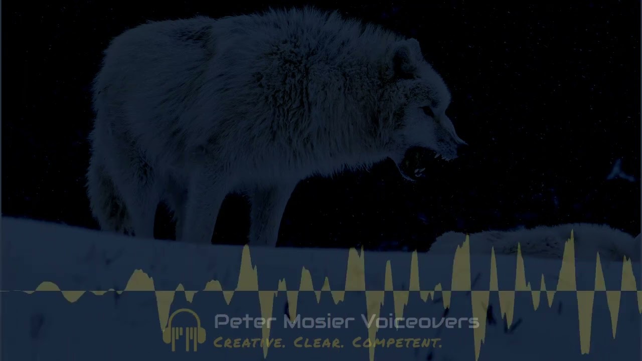 Peter Mosier Voiceovers – Creative. Clear. Competent.