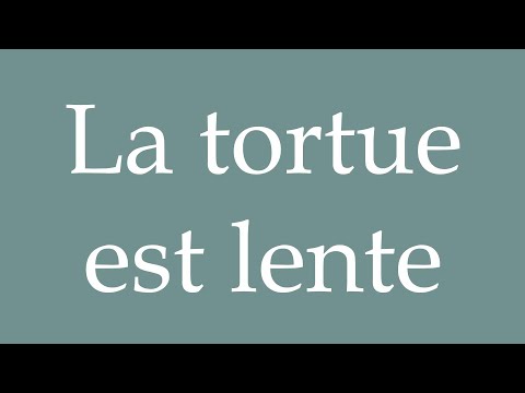 How to Pronounce ''La tortue est lente'' (The tortoise is slow) Correctly in French