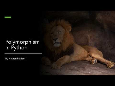 What is Polymorphism and Implementing an Example in Python