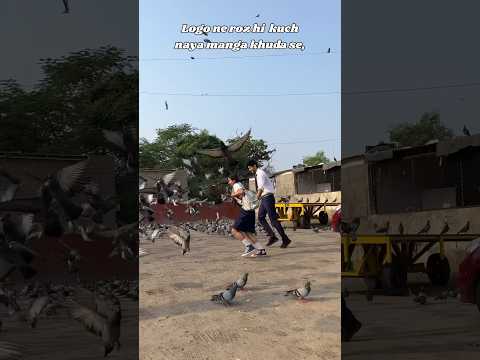 Shayar Shreya Is Back | Also one of my audios are trending on instagram | Shreya Kalra #shorts