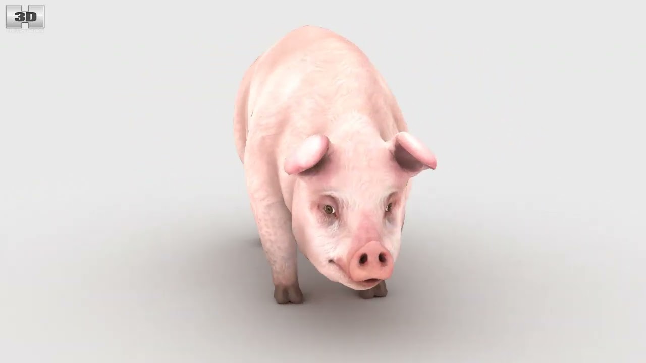 Pig Low Poly 3D model by 3DModels.org