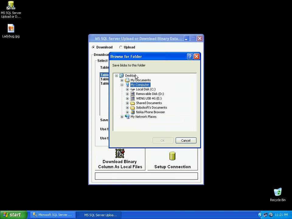 Sobolsoft com How To Use MS SQL Server Upload or Download Binary Data Software