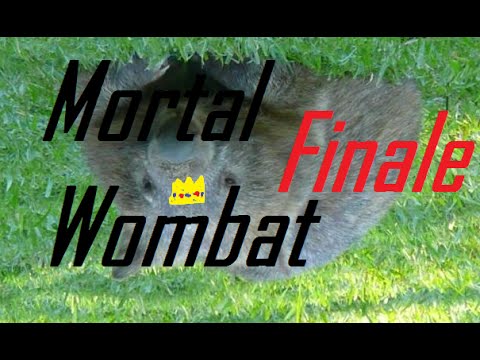 Steam Community :: Video :: THE KING!!! | Mortal Wombat Finale