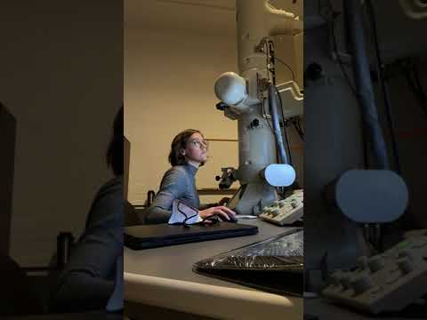 TEM Alignments Time-lapse