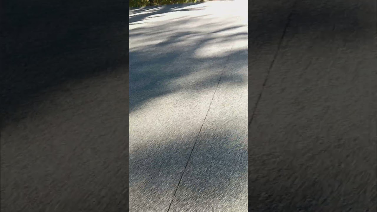 Self Adhering modified bitumen roof Installed.