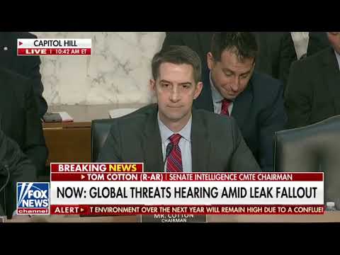 Sen. Tom Cotton on protestors interrupting the Senate Intelligence Committee Hearing: