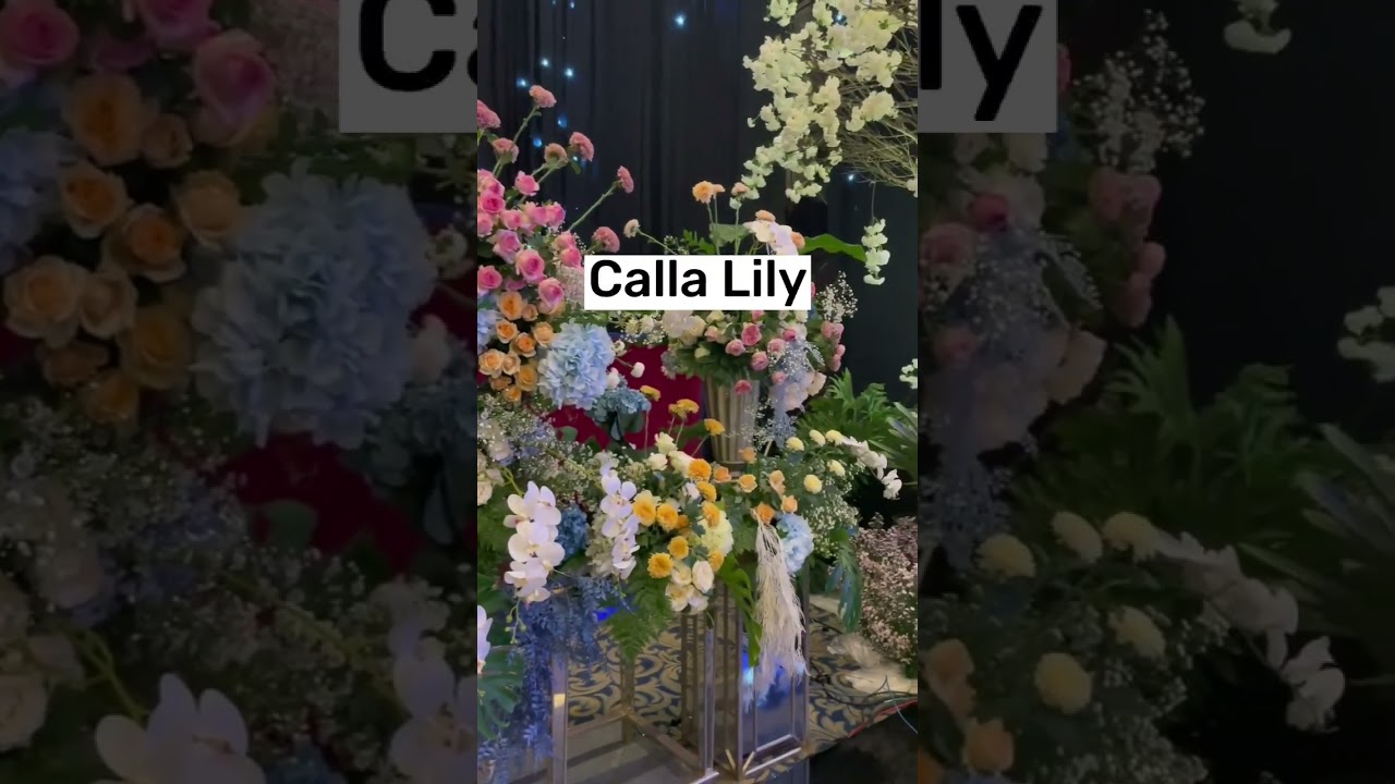 10 JENIS BUNGA ACARA WEDDING