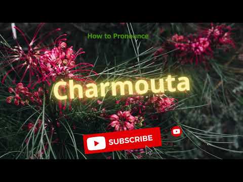 How to pronounce charmouta | Meaning of charmouta