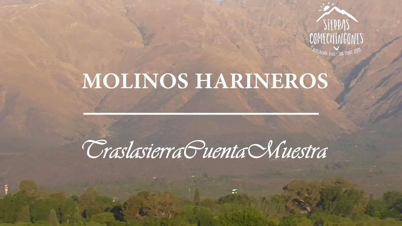 MOLINOS HARINEROS
