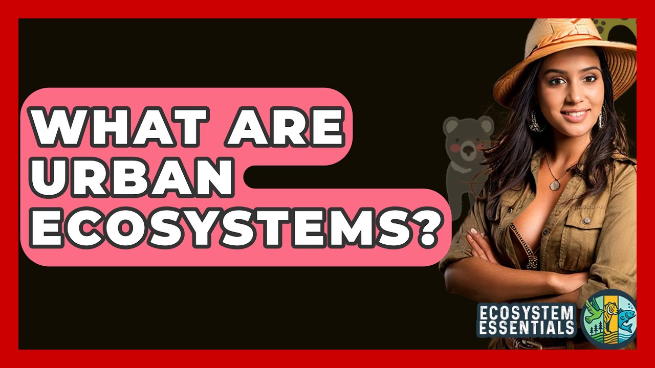 What Are Urban Ecosystems? - Ecosystem Essentials