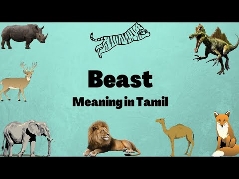 Beast meaning in tamil | Beast meaning in english | English Tamil Dictionary