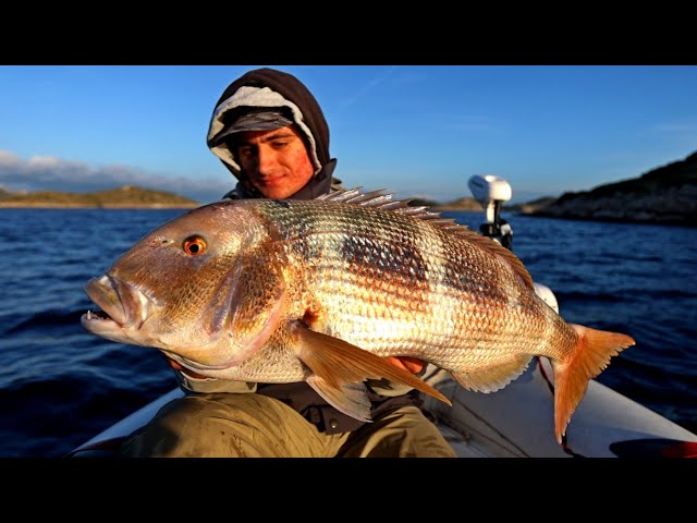 Strijelka (ne)uhvatljiva riba - Praktični Ribolov