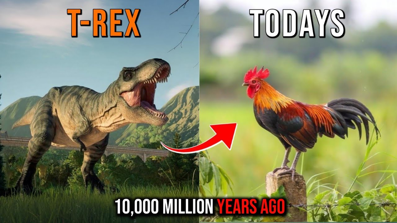 Modern Animals that are Basically Dinosaurs