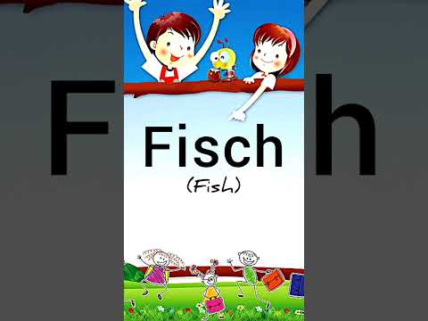 5 German Words Daily || Part 21ππ #shorts #germanwords