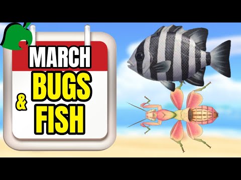 March Bugs & Fish Guide | Animal Crossing New Horizons (Northern Hemisphere)