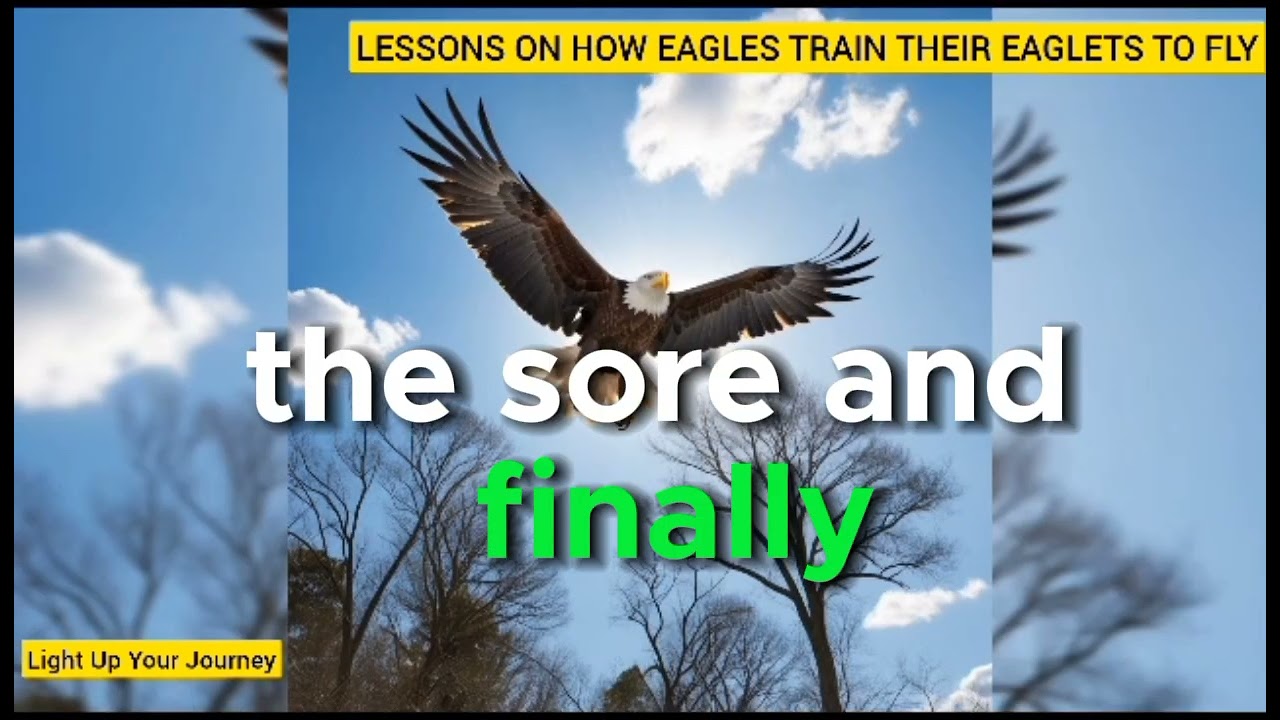 LESSONS ON HOW EAGLES TRAIN THEIR EAGLETS TO FLY