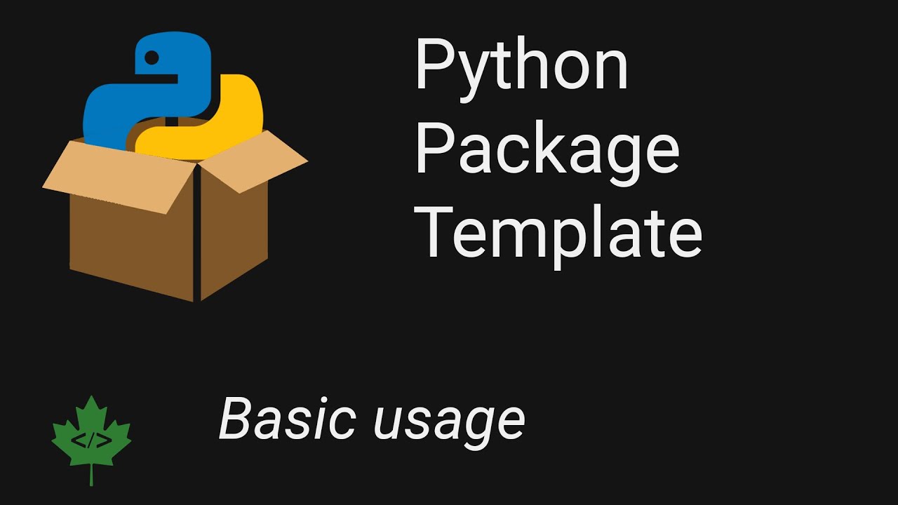 Python Packaging Template usage documentation