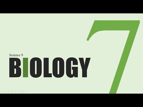 The DNA and Non-Mendelian Genetics (Incomplete Dominance): Knowledge Catalog Grade 9 Biology #7