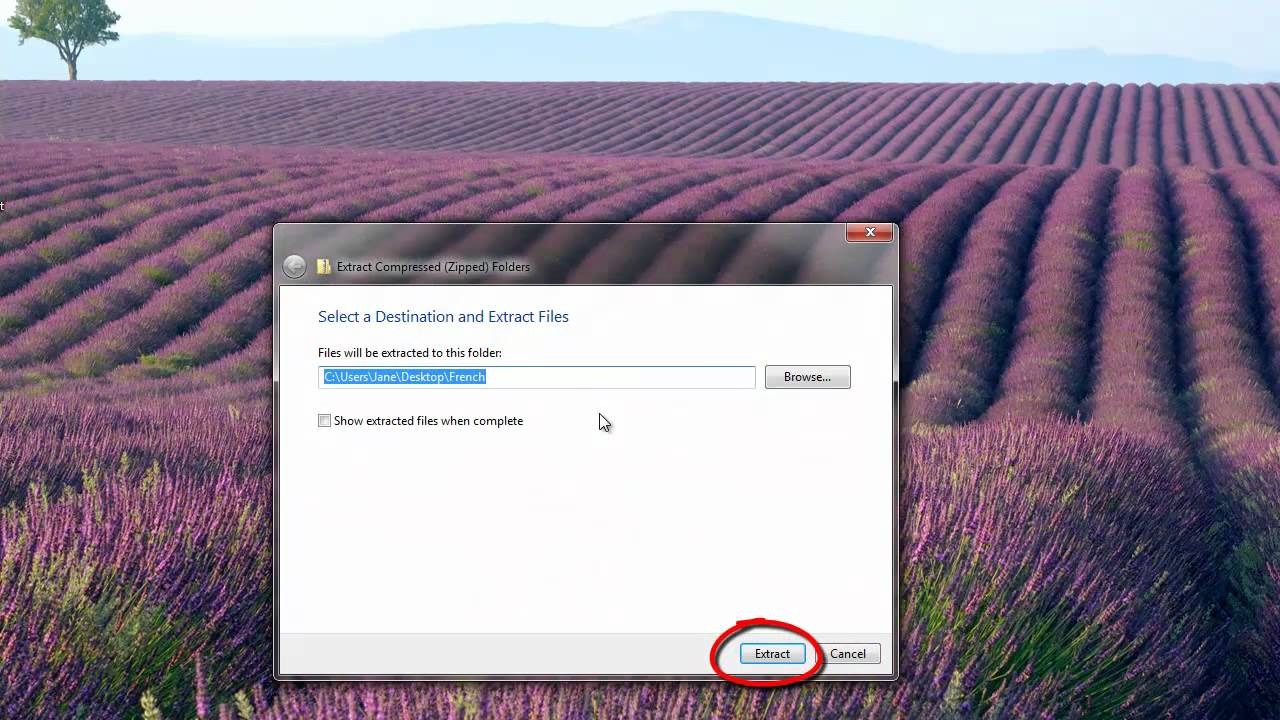 Vocabulary Worksheet Factory 4: Spelling Dictionary