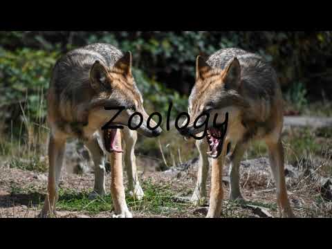 How to Pronounce Zoology?