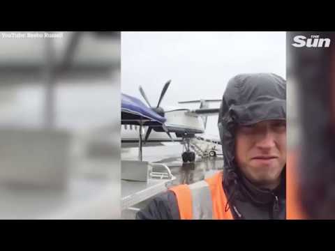 Beebo – Post-Tragic Life