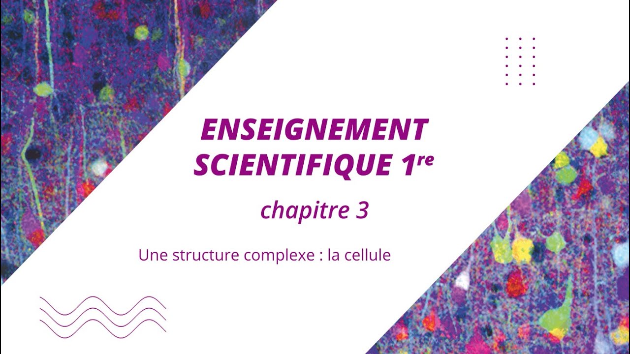 Une structure complexe : la cellule (Enseignement scientifique 1re)