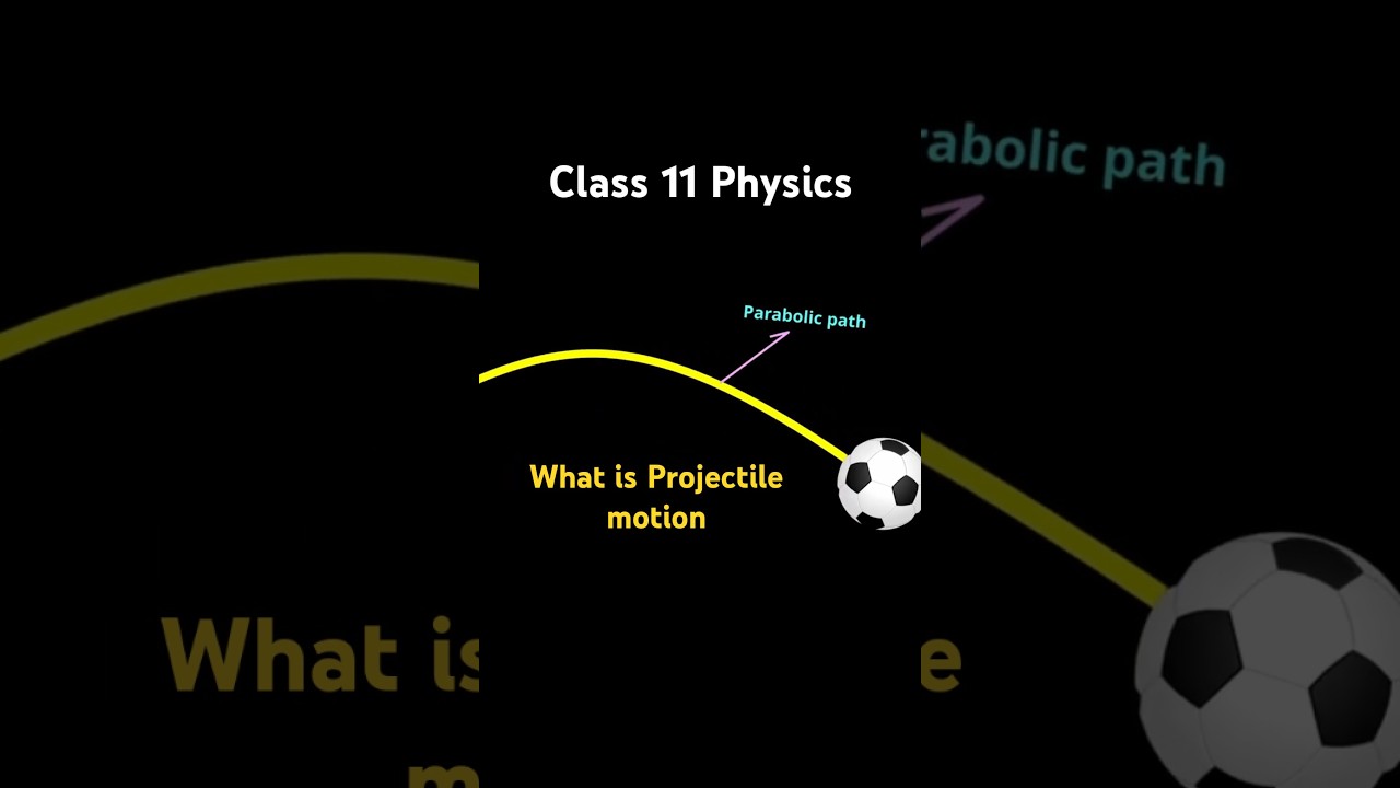 Projectile Motion Explained! | Class 11 Physics | Motion in a Plane Made Simple