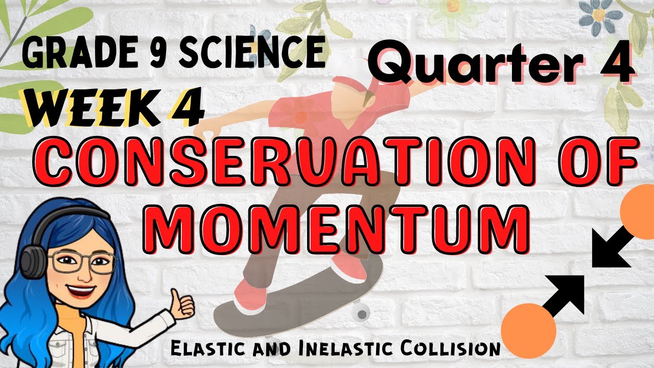 Understanding the Conservation of Momentum: Elastic and Inelastic ...