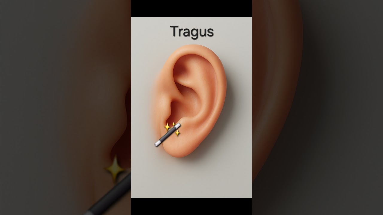 Outer Ear Anatomy Explained: Helix, Antihelix & more.