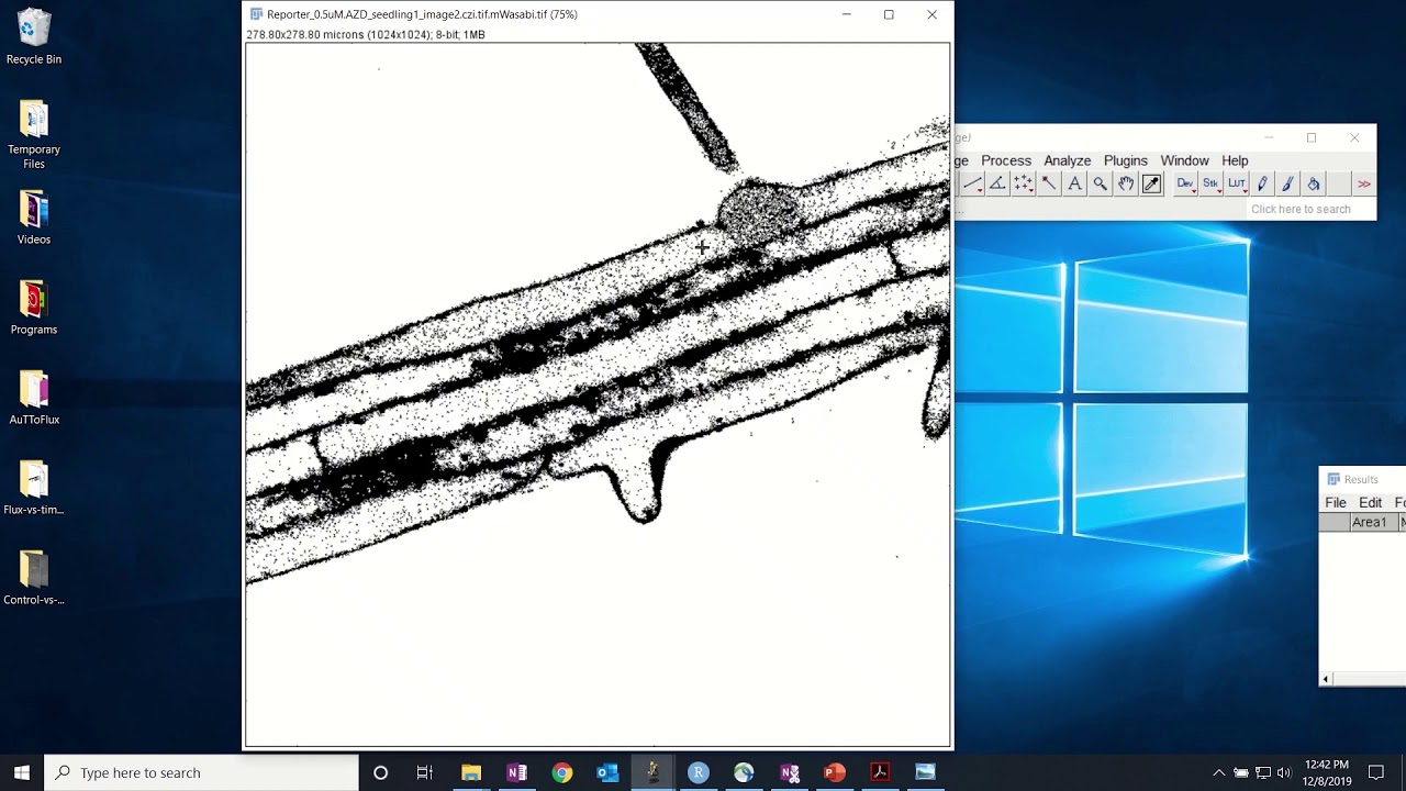 4. Fluorescence intensity measurement