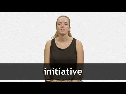 English Translation of “INITIATIVE” | Collins French-English Dictionary