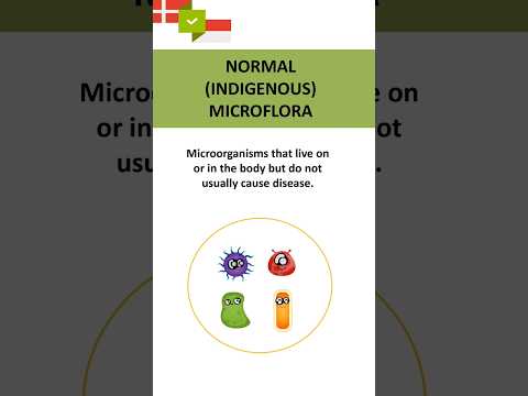 Normal Microflora