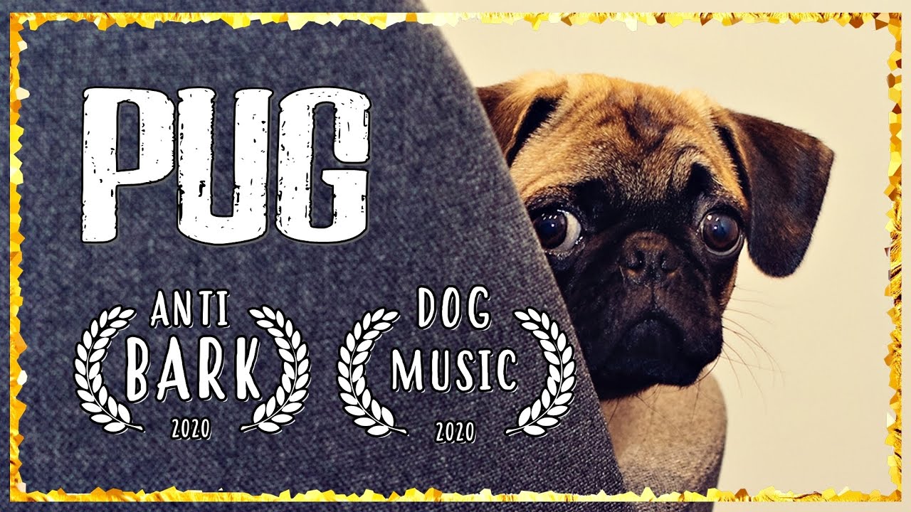 Dog calming music for Pugs ~ Relaxing Dog Music for Pug ~ Separation Anxiety Music For Dogs (Tested)