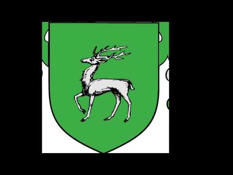 Connor, O'Conner Irish names; Co. Tipperary genealogy; The Beatles in Ireland IF86