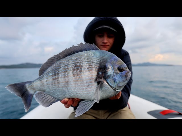 Strijelka (ne)uhvatljiva riba - Praktični Ribolov