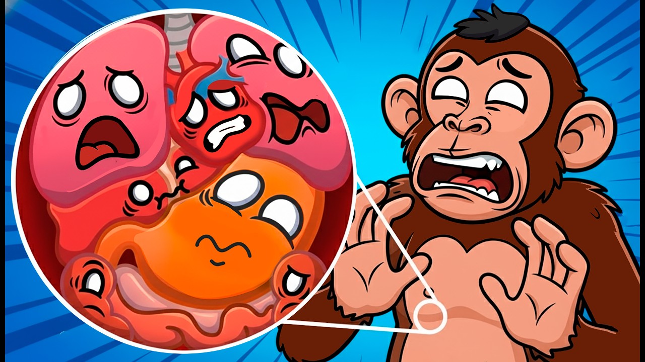 Are your organs different from a MONKEY's?