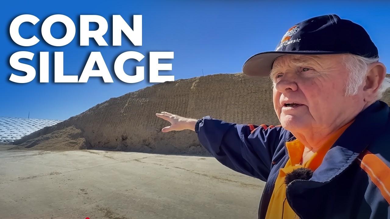 3,600 COWS PRODUCING 359,000 POUNDS OF MILK PER DAY - STONE RIDGE DAIRY, USA 🇺🇸