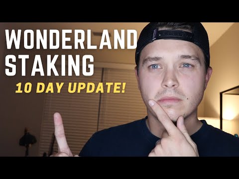 Is the APY of TIME WONDERLAND legit?! | 10-day update of $300 to $100,000!