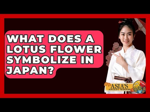 What Does A Lotus Flower Symbolize In Japan? - Asia's Ancient Wisdom